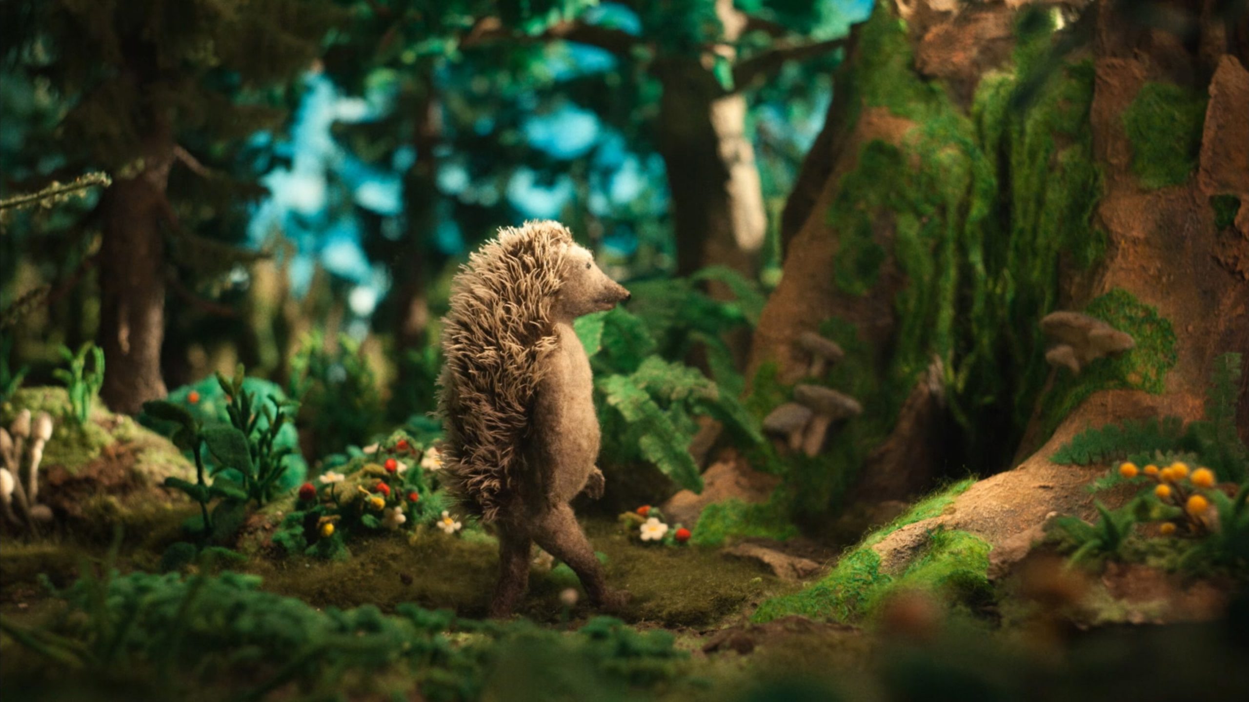 Ježeva kuća - vrtisvoj.film